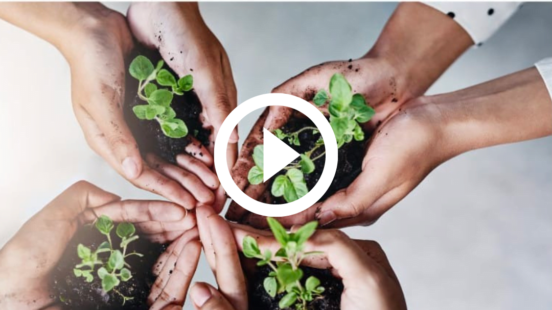 Systems Awareness Programme | IMPACT VELOCITY